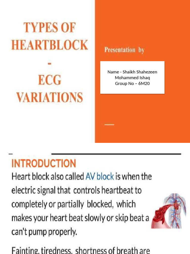 Heart Blocks - Shehzeen Shaikh | PDF