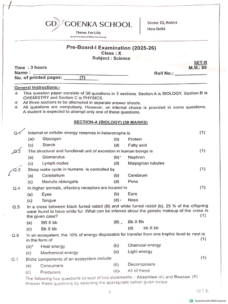 GD Goenka Paper | PDF