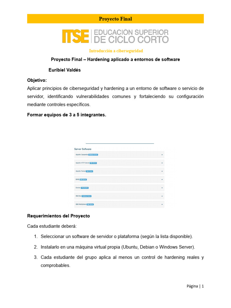 Proyecto Final 2025 Intro a Ciber DS | PDF | Software | La seguridad informática