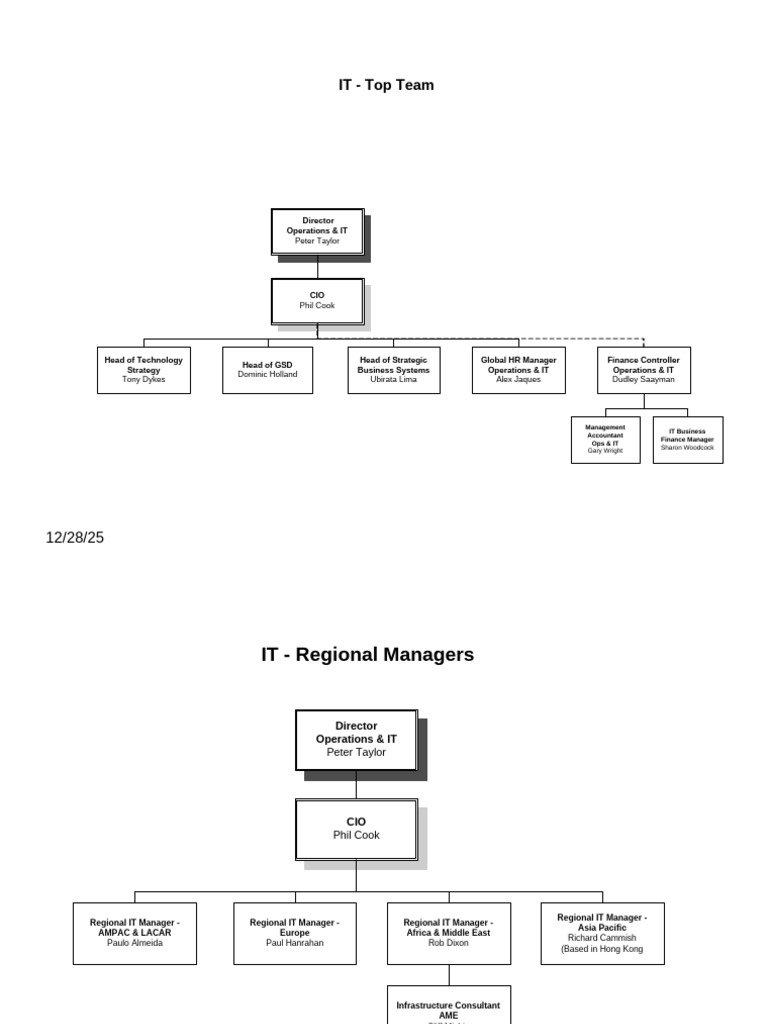 IT Organisation Charts | PDF