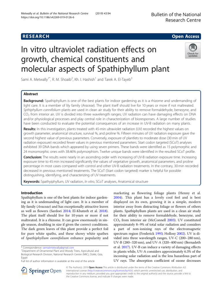 UV Radiation Effects on Spathiphyllum Growth | PDF | Ultraviolet | Leaf