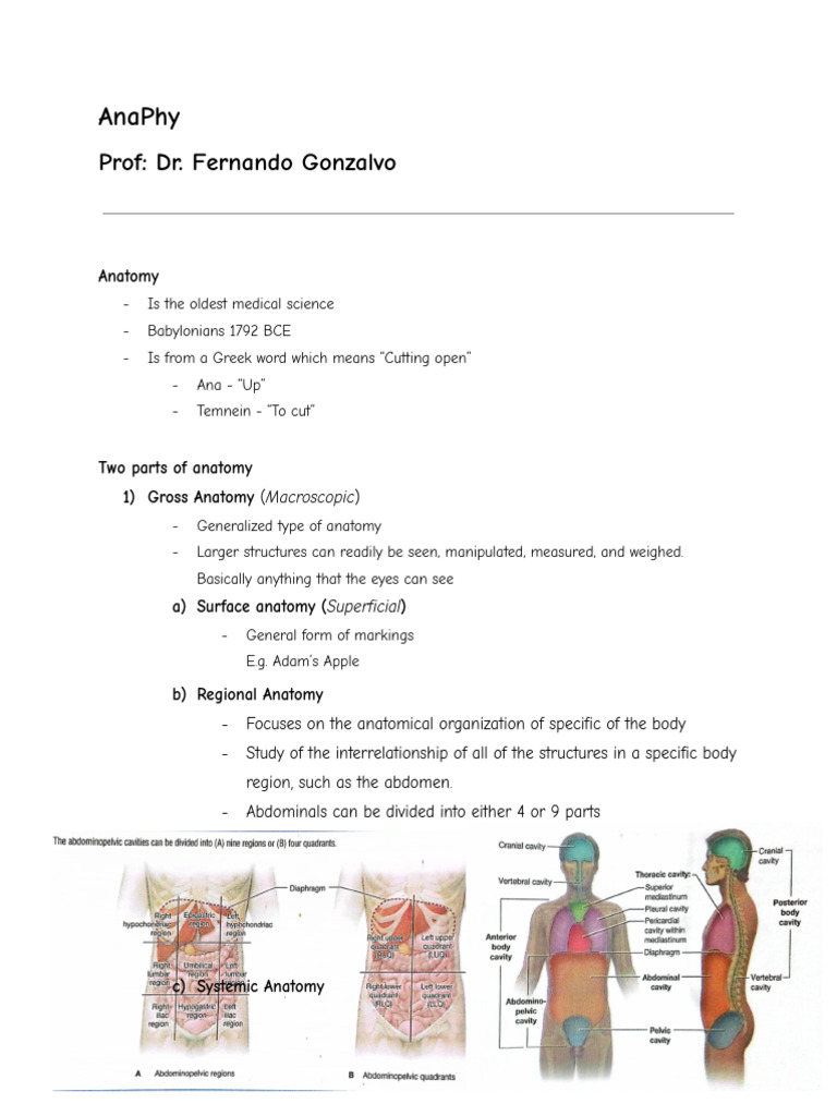 AnaPhy Prelims Reviewer | PDF | Macromolecules | Carbohydrates
