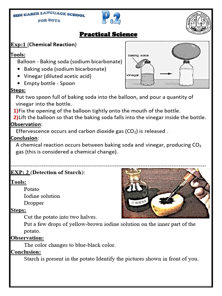 Practical Science p2 | PDF