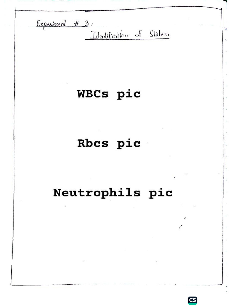 Pathology Experiment 3 & 4 | PDF