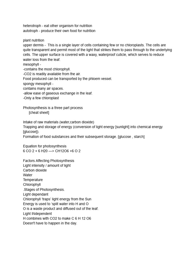 Feeding - Highschool Biology Notes | PDF