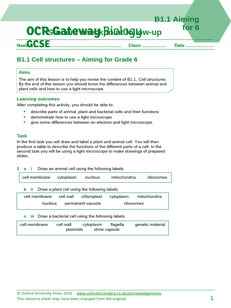 oxo_OGW16_B101_T601_xxaann | PDF | Cell (Biology) | Cytoplasm