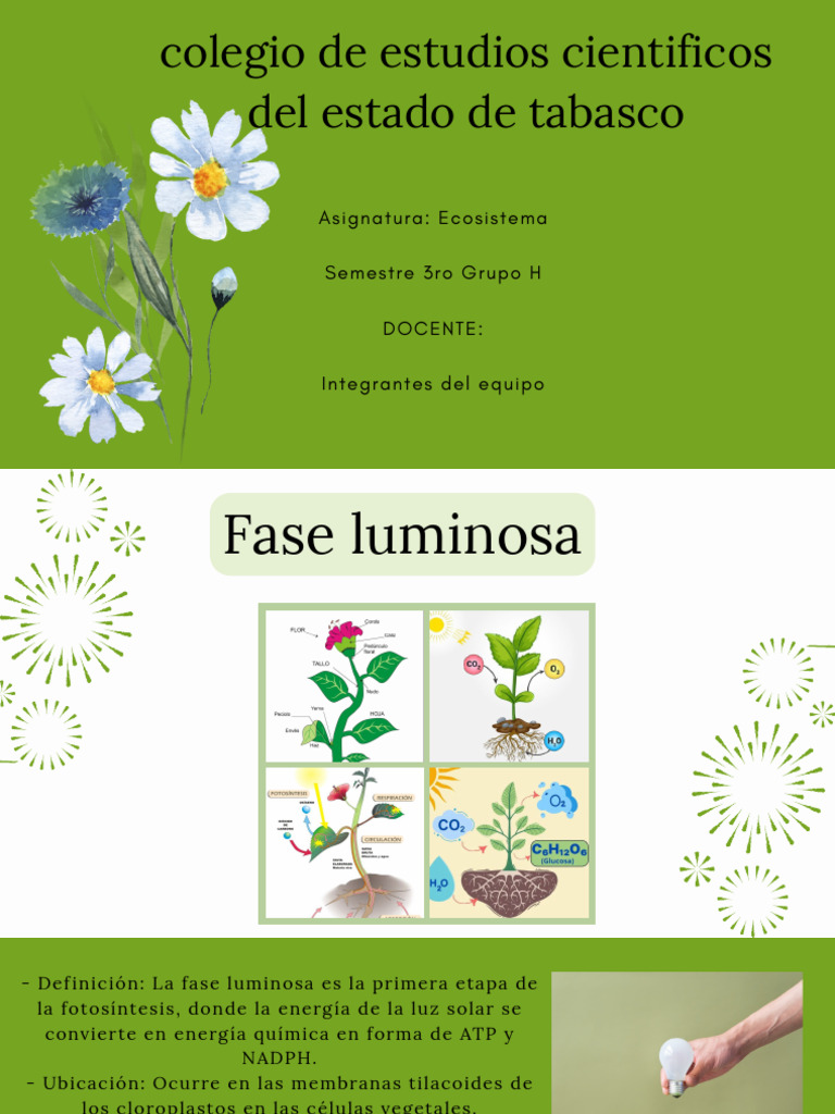 Green Orange Simple Group Project Presentation_20250925_105140_0000 | PDF