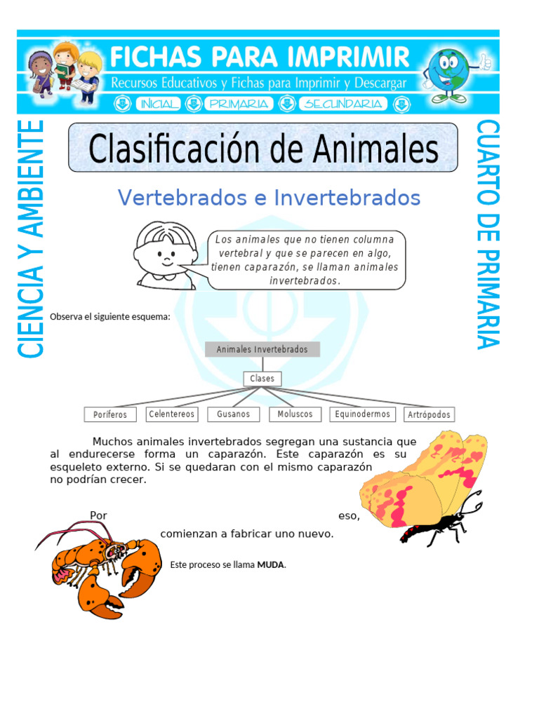 Vertebrados e Invertebrados: Clases y Características | PDF