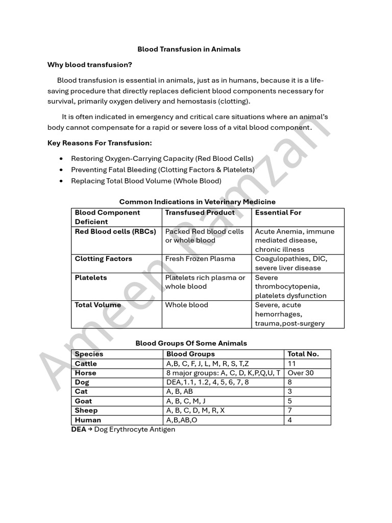 Animal Blood Transfusion Guide | PDF | Blood Transfusion | Platelet
