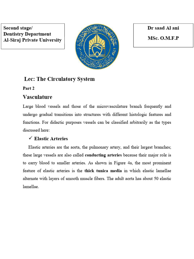 The Circulatory System Part 2 | PDF | Artery | Vein