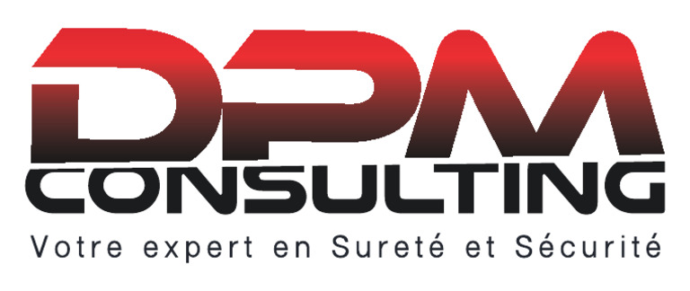 Logo DPM Consulting | PDF