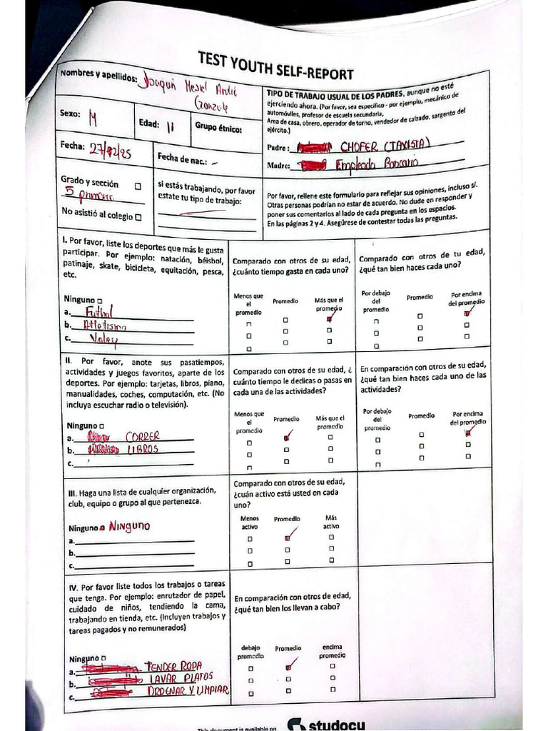 Test Youth Self | PDF