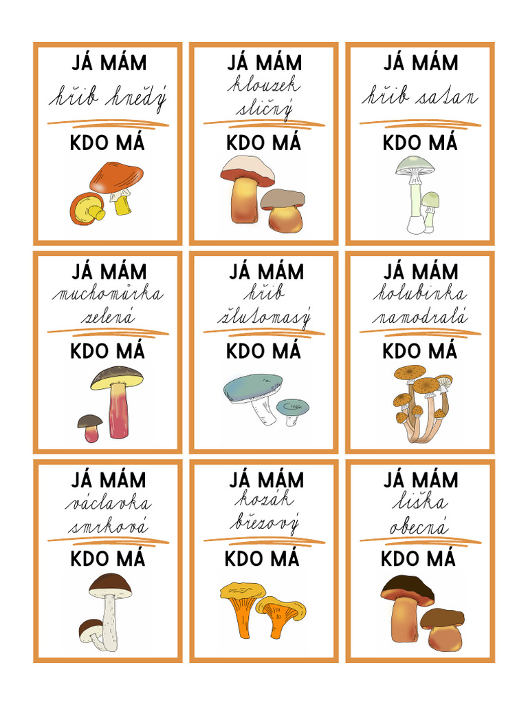 Já Mám, Kdo Má - HOUBY 18ks | PDF