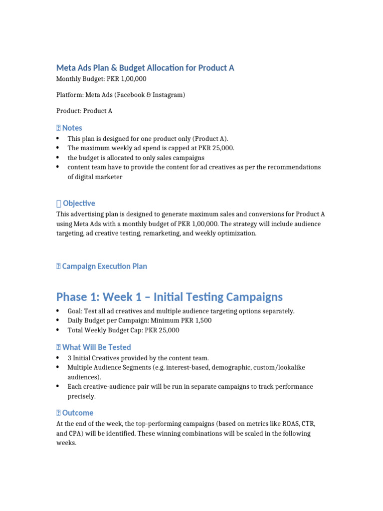 Meta Ads Plan Ryan Sheikh | PDF