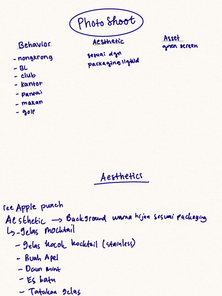 Aesthetic Photoshoot Concepts and Assets | PDF