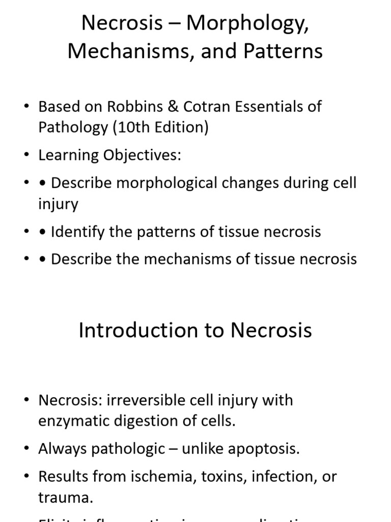 Understanding Necrosis: Types and Mechanisms | PDF | Necrosis | Cell ...