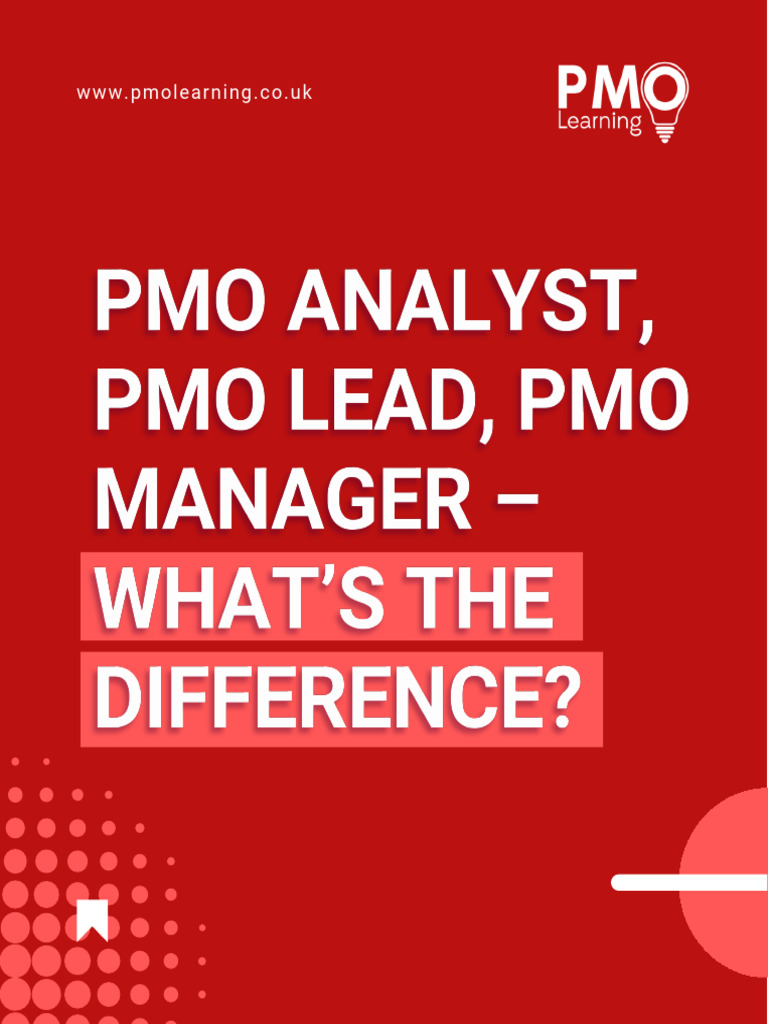 PMO Roles: Analyst to Manager Guide | PDF
