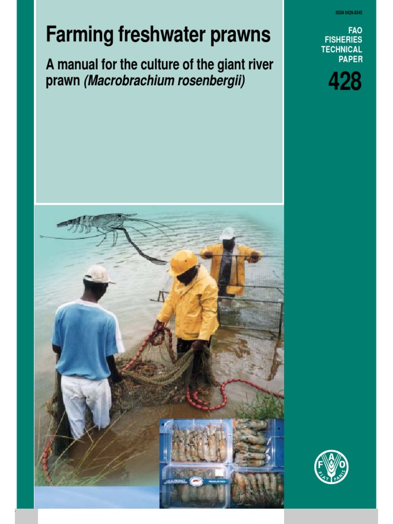 Farming Freshwater Prawns | PDF | Shrimp | Aquaculture
