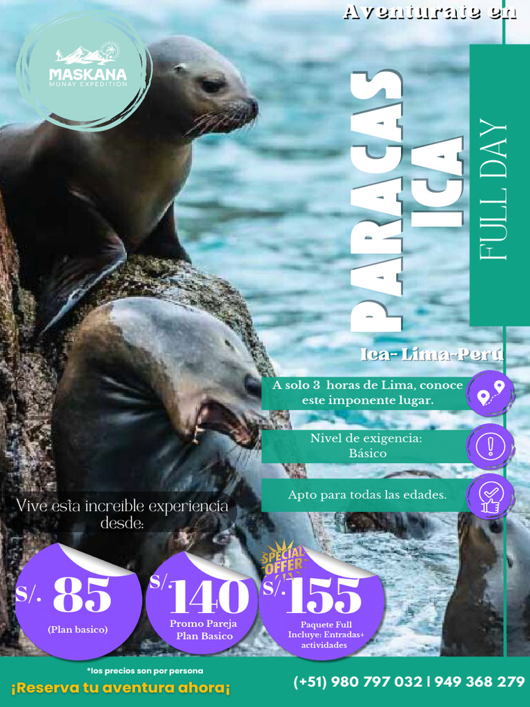 Full Day Paracas - Ica | PDF
