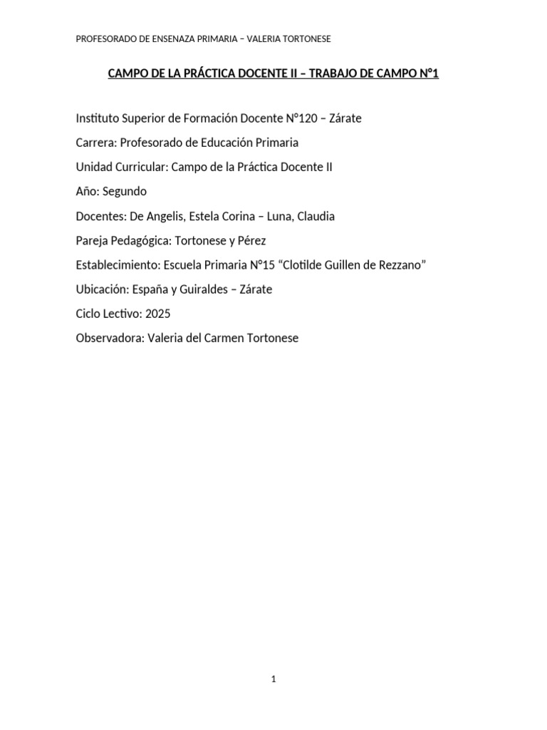 Campo de La Práctica Docente II Valeria | PDF | Maestros | Escuelas