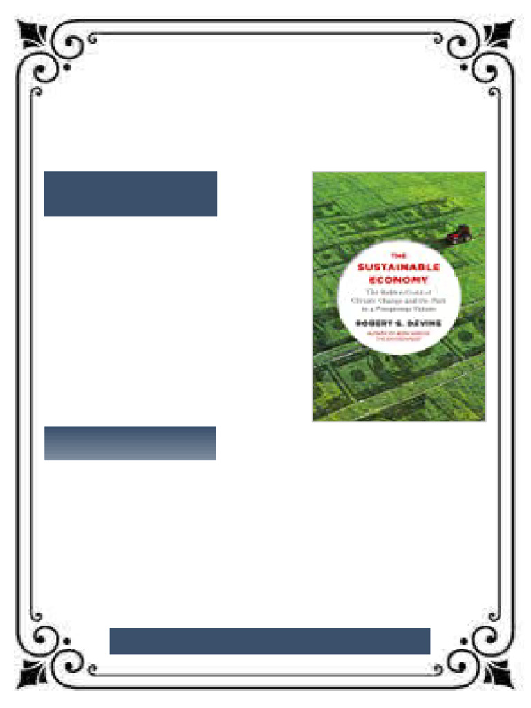 The Sustainable Economy The Hidden Costs of Climate Change and the Path ...