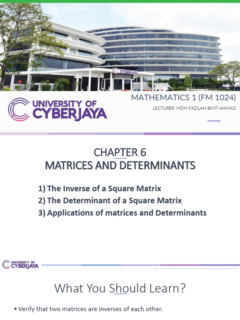 L8-INVERSE MATRICES & DETERMINANTS | PDF | Matrix (Mathematics ...