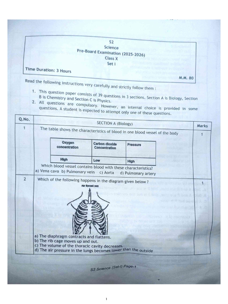 Dps. Rkpuram Science Paper | PDF