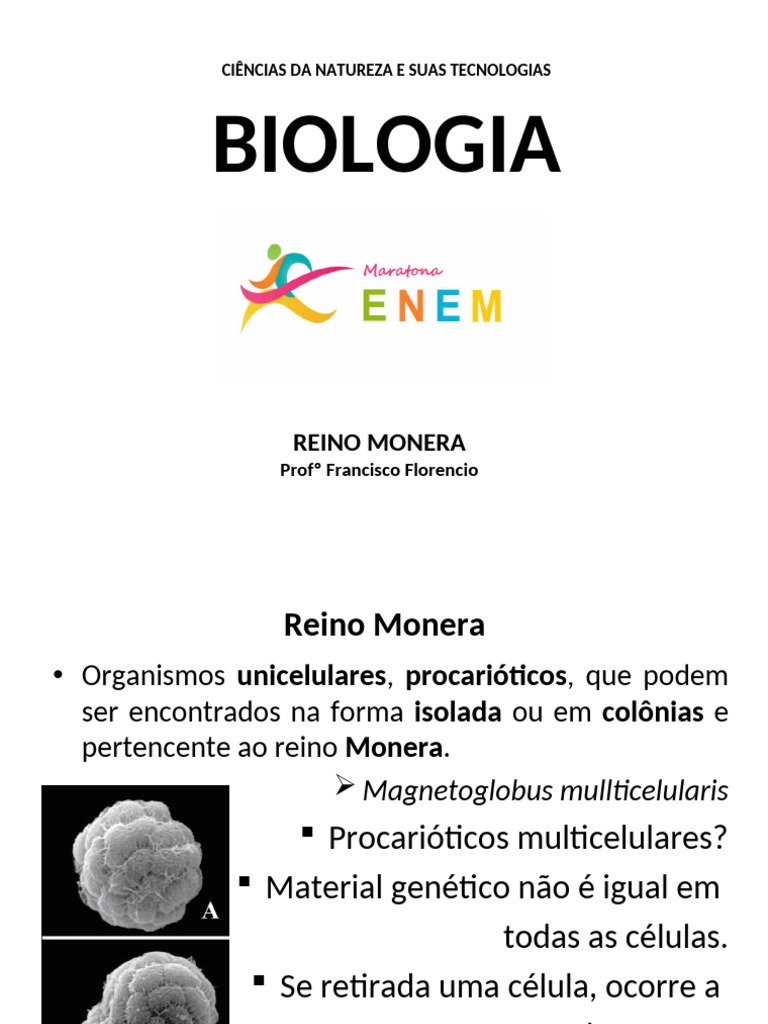 Biologia Aula 06.3 Monera | PDF | Bactérias | Célula (Biologia)