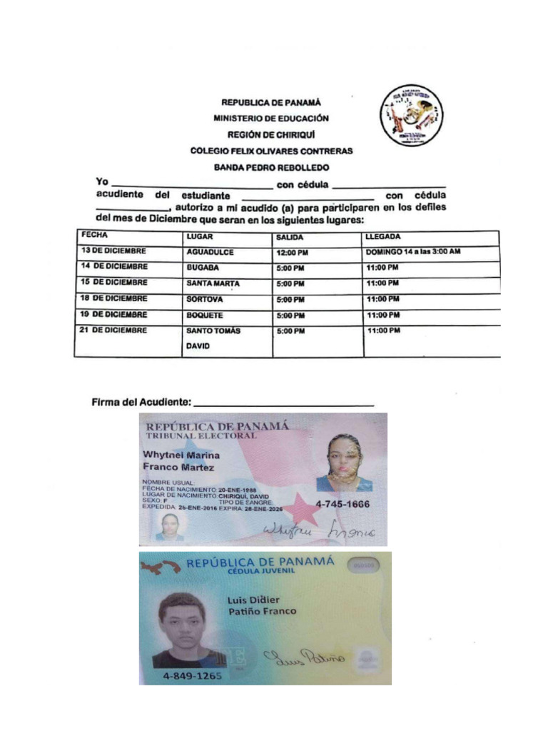 Permiso Navidad Foc | PDF