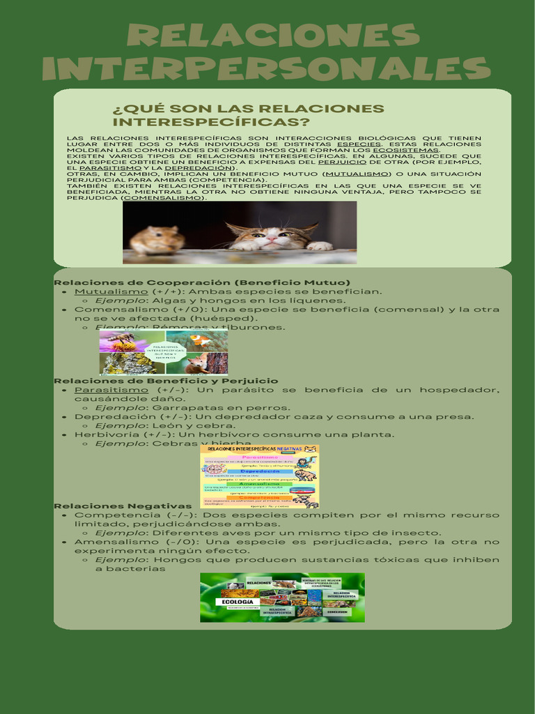 Infografia Sobre Las Relaciones Interespecificas | PDF