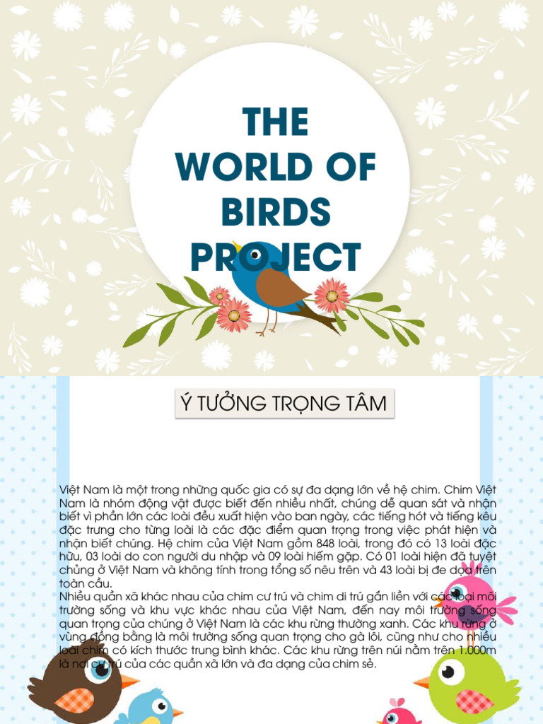 The World of Birds | PDF