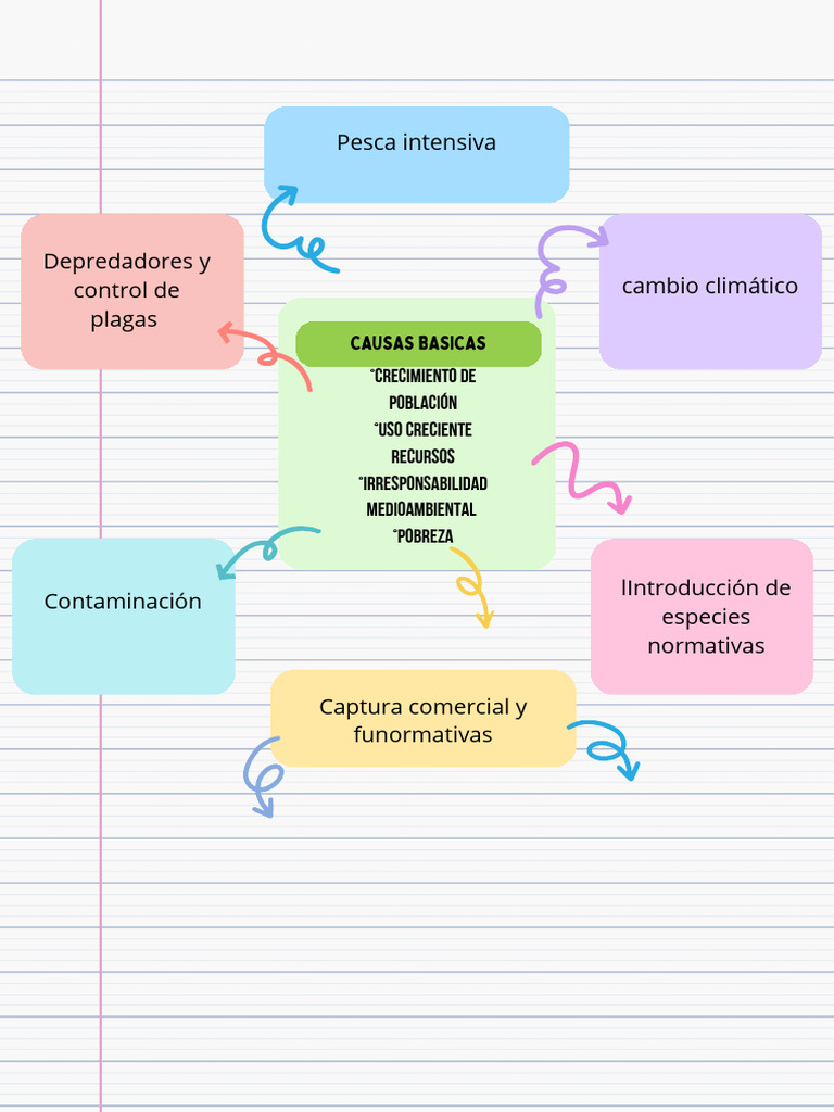 Documento A4 Mapa Conceptual Creativo Juvenil Colorido | PDF