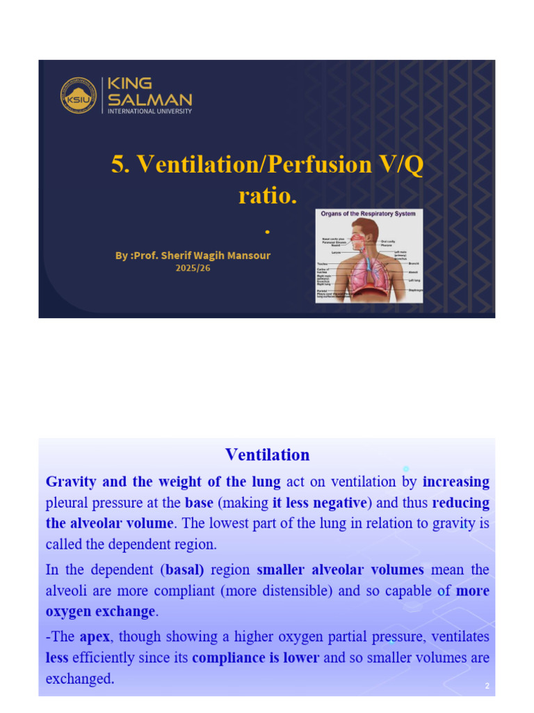 Understanding V/Q Ratio in Lung Physiology | PDF | Lung | Physiology