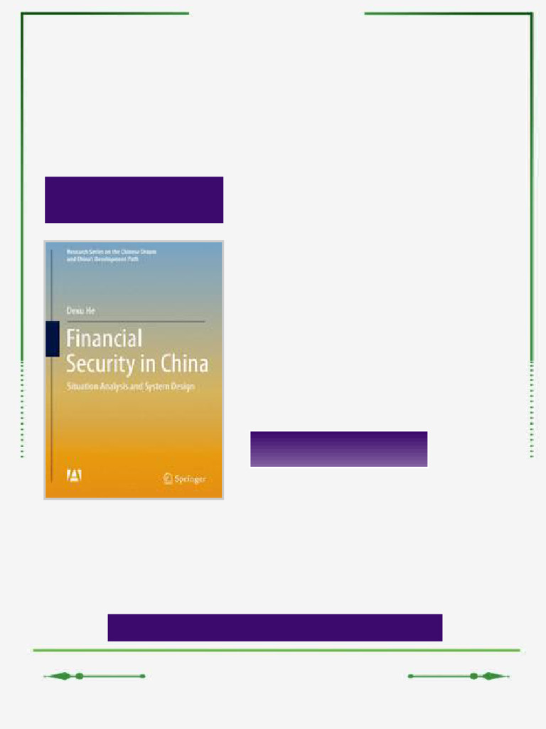 Financial Security in China Situation Analysis and System Design 1st ...