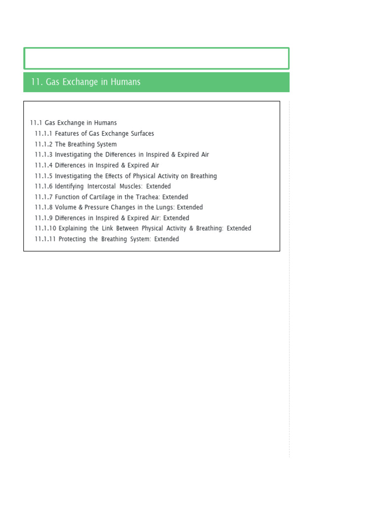 11- Gas Exchange in Humans (1) | PDF | Breathing | Exhalation