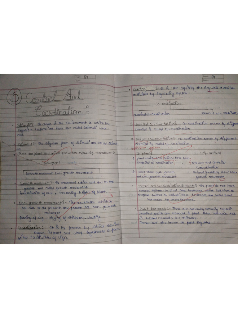 class 10th ch- control & coordination | PDF