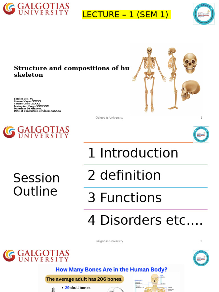 L1 Structure and Compositions of Human Skeleton (4) | PDF