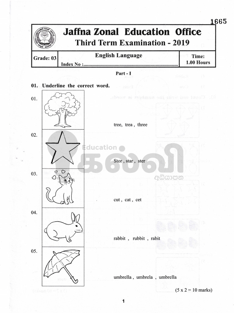 Gr3 Ta English 2019 Term 3 | PDF