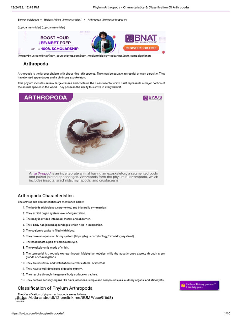 Phylum Arthropoda - Characteristics & Classification Of Arthropoda ...