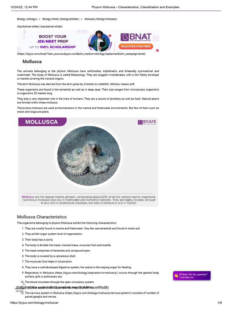 Phylum Mollusca - Characteristics, Classification and Examples | PDF ...