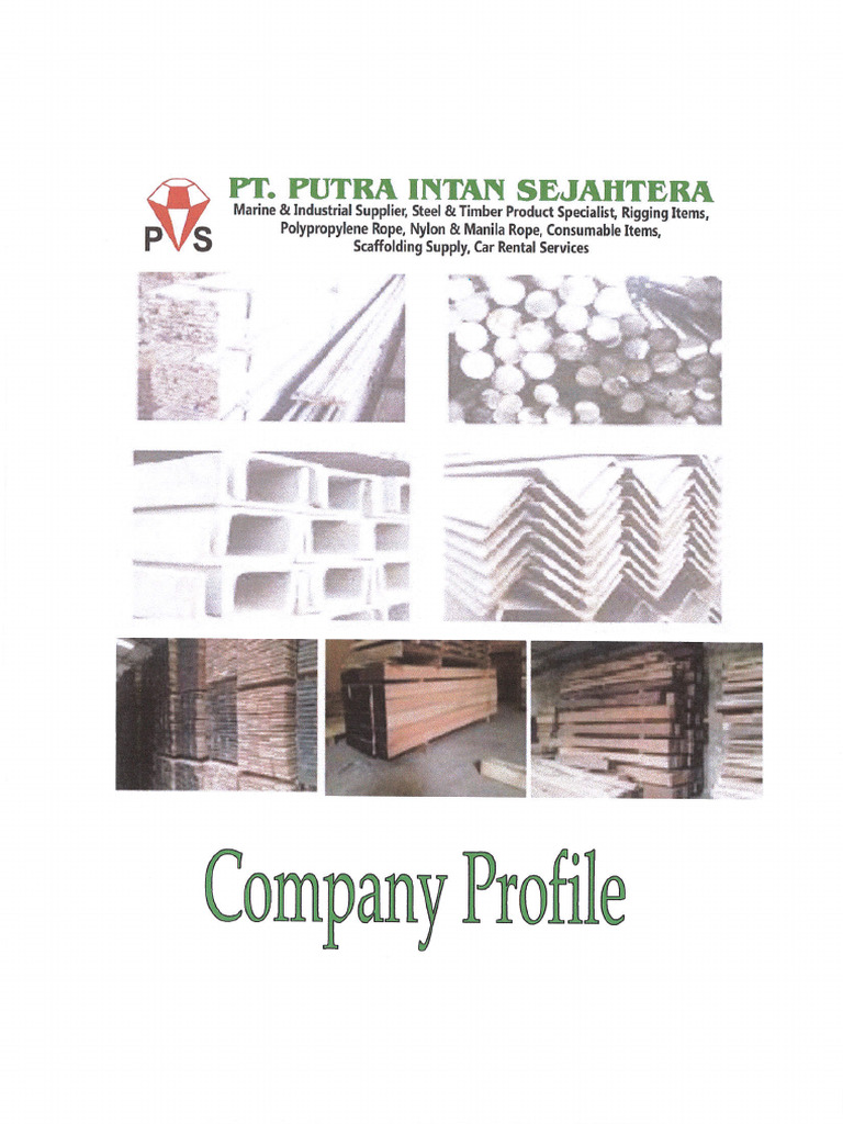 New Company Profile PIS | PDF