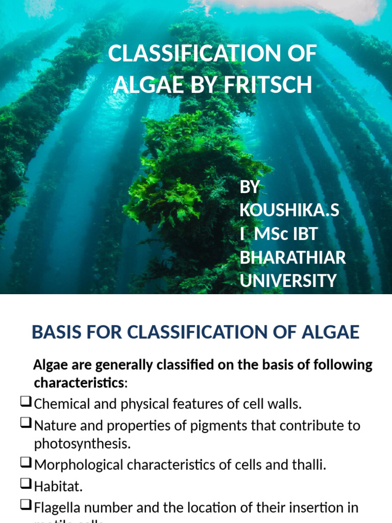 Fritsch's Algal Classification Overview | PDF | Algae | Biology