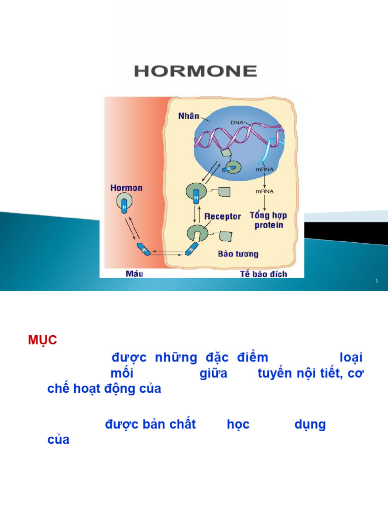 BÀI 6C_ HORMONE | PDF