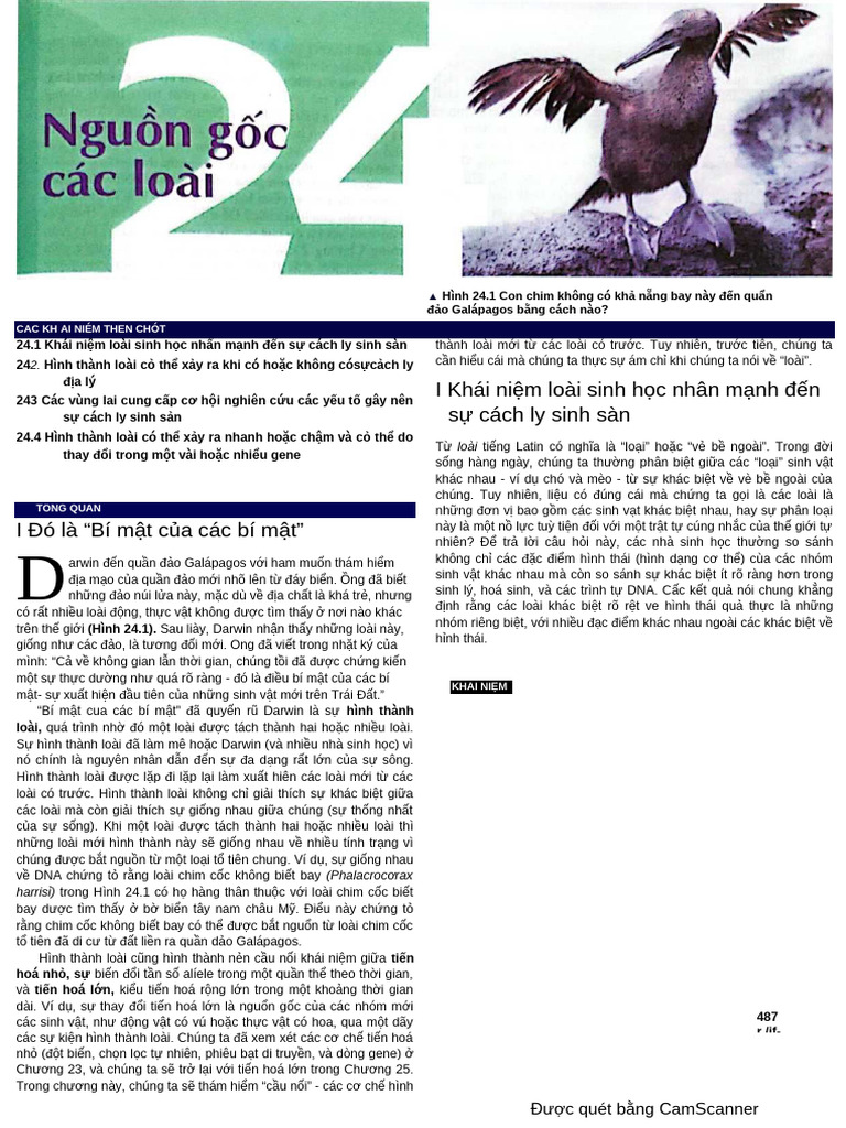 24. Nguon Goc Cac Loai | PDF