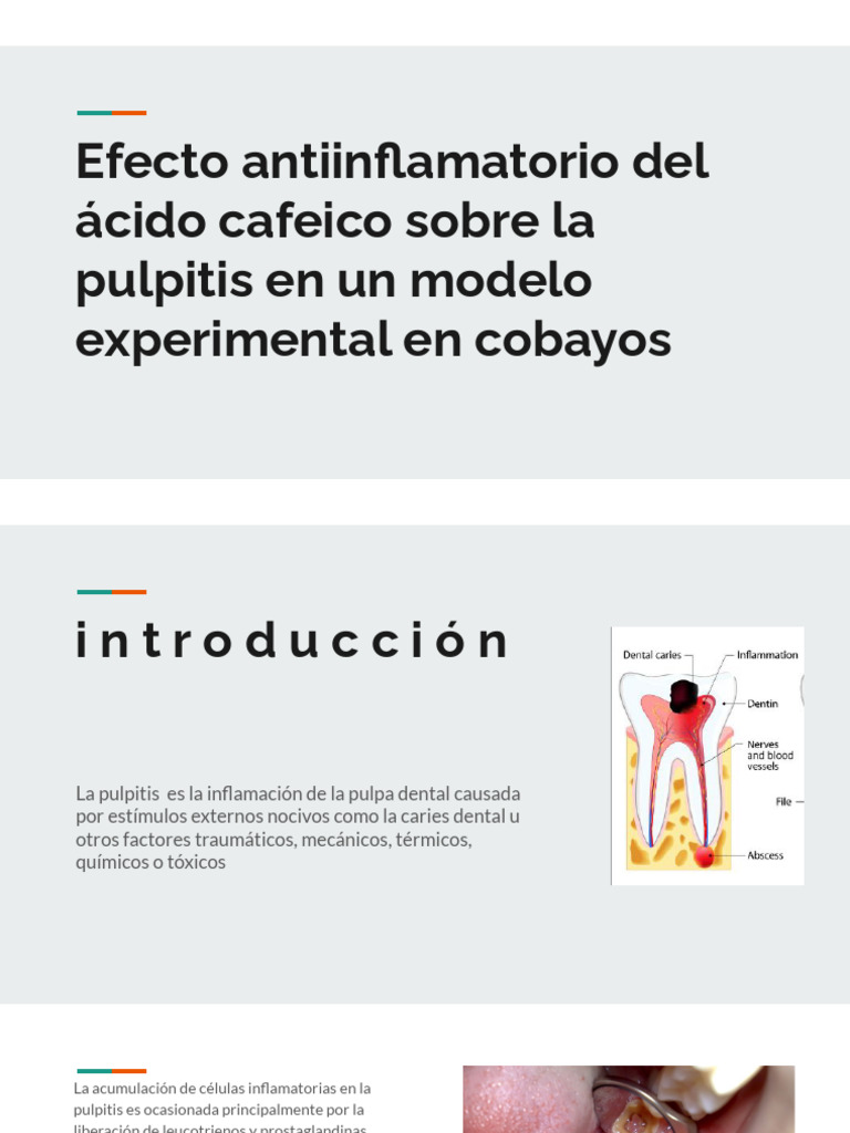 Efecto antiinflamatorio del ácido cafeico sobre la pulpitis en un ...