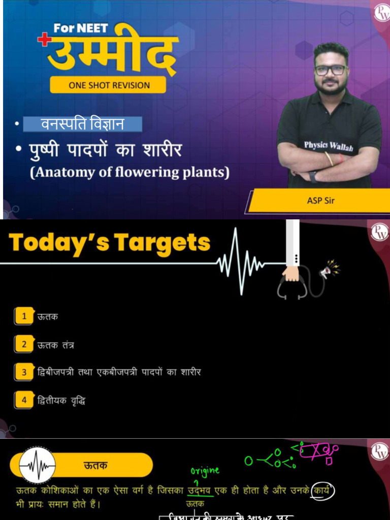 UMMEED-Anatomy of Flowering Plants-One Shot Revision_ASP Sir_Mradul ...
