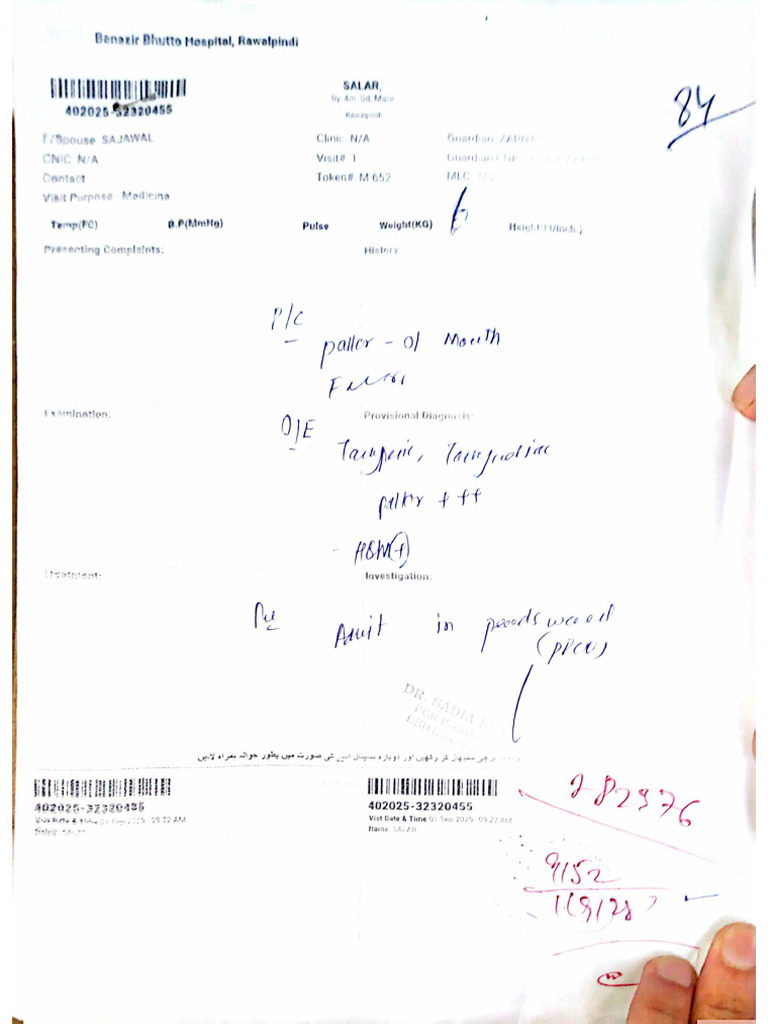 Salar Bone Marrow Tests | PDF