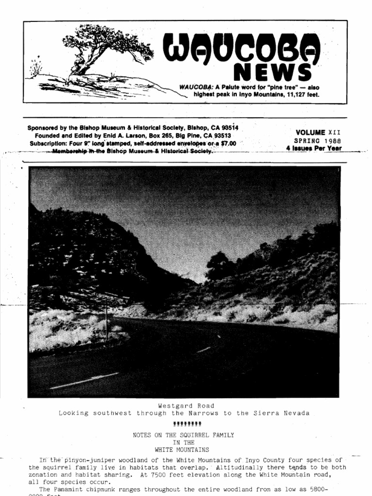 Waucoba News Vol. 12 Spring 1988 | PDF | Nature