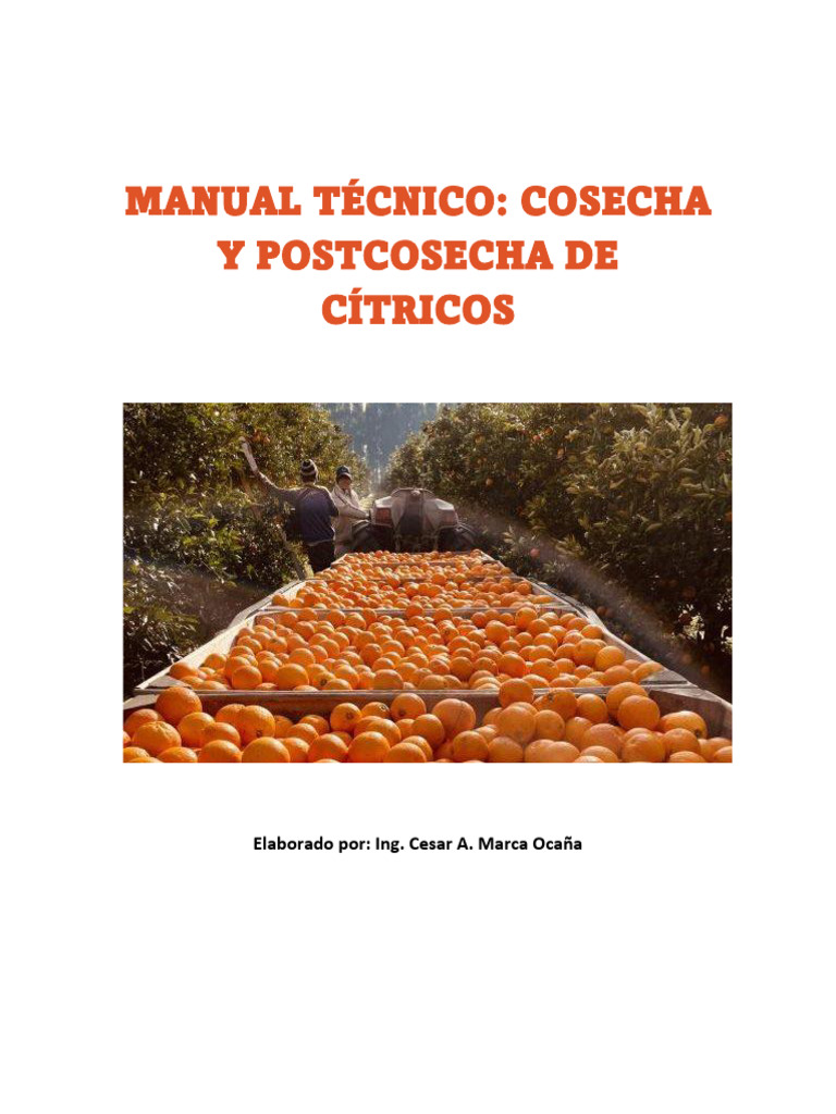 Cosecha y Postcosecha de Cítricos: Guía Técnica | PDF | Cosecha | Fruta