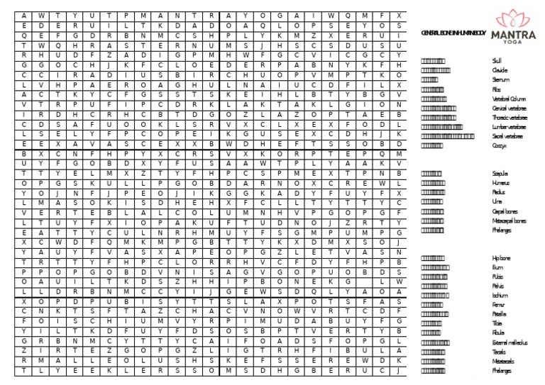 Anatomy Game Bones A4 | PDF